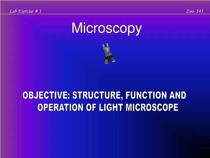 PPT - Microscopy PowerPoint Presentation, free download - ID:3050109