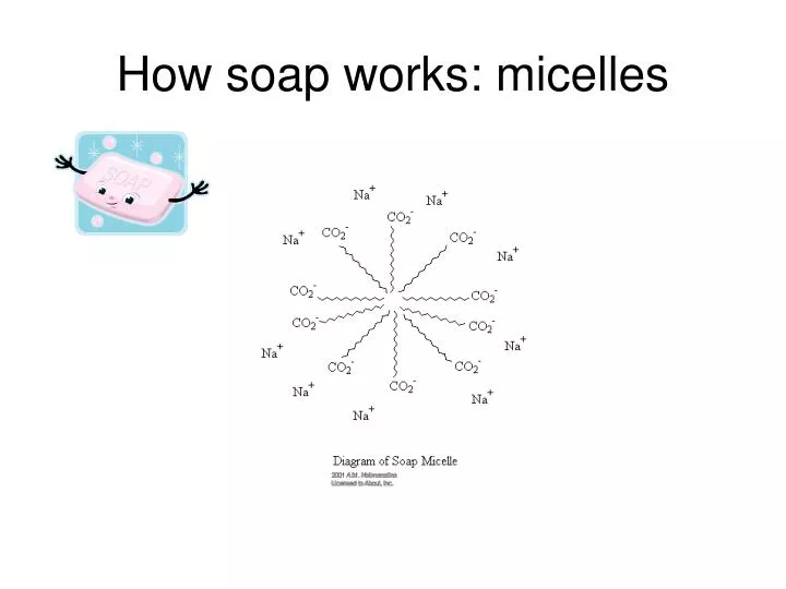 Ppt How Soap Works Micelles Powerpoint Presentation Free Download