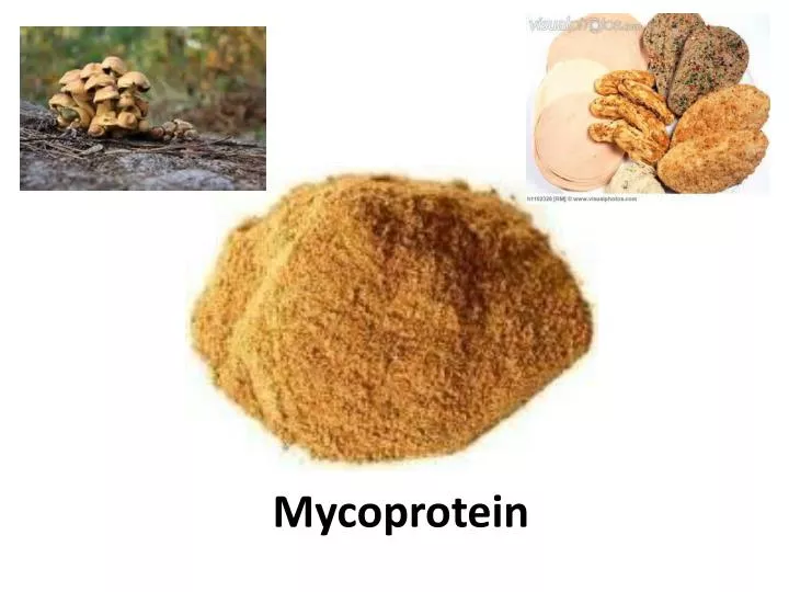 PPT - Mycoprotein PowerPoint Presentation, free download - ID:3051597