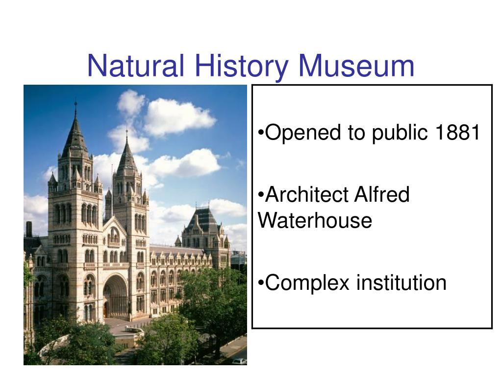 PPT - The Natural History Museum: Natural History collections, their ...