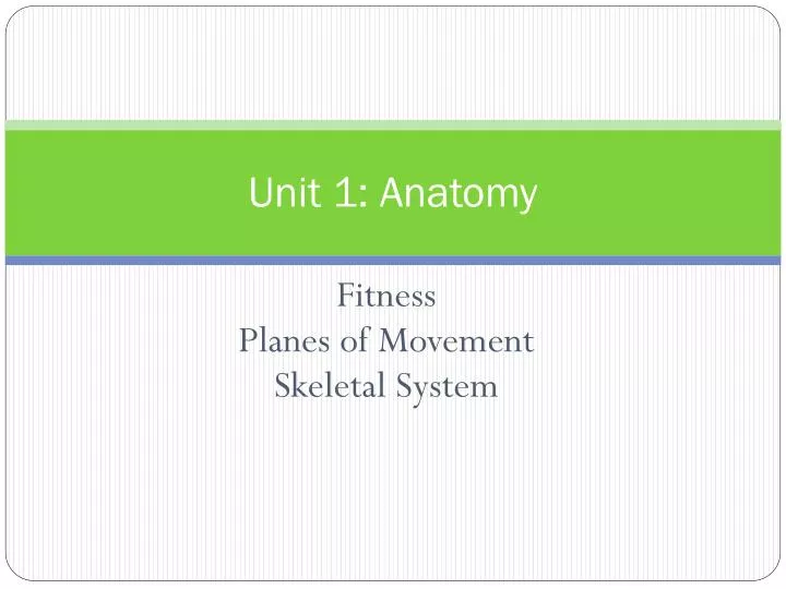 PPT - Unit 1: Anatomy PowerPoint Presentation, free download - ID:3051671