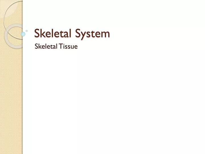 Ppt Skeletal System Powerpoint Presentation Free Download Id 3052789