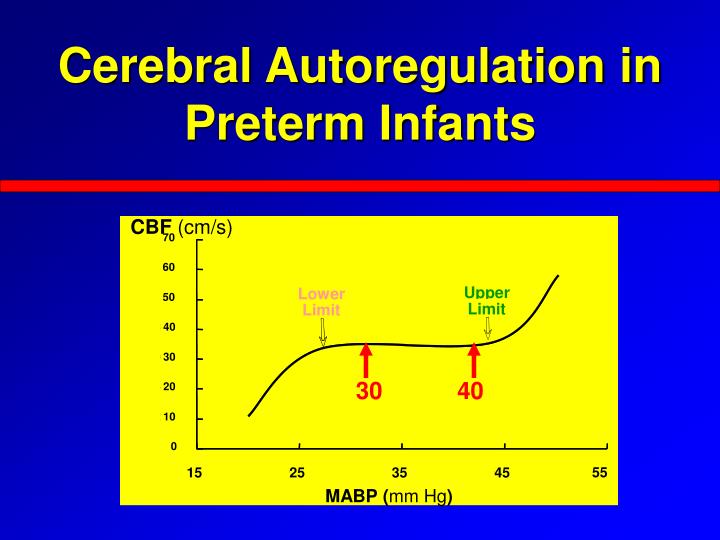 PPT - Brain Injury in Premature Infants: The Role of Cerebral ...