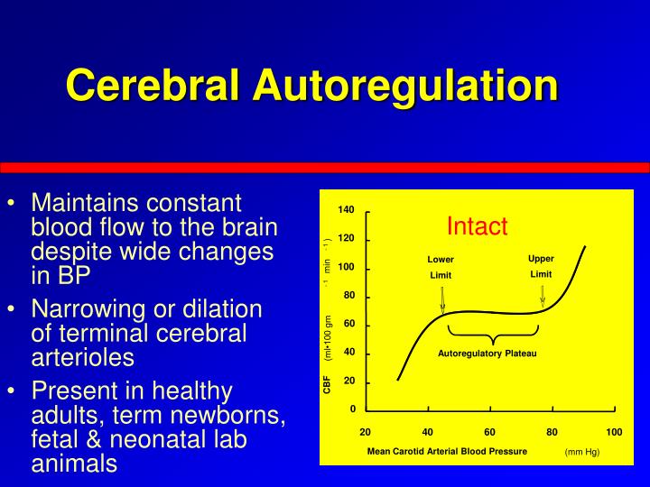 PPT - Brain Injury in Premature Infants: The Role of Cerebral ...