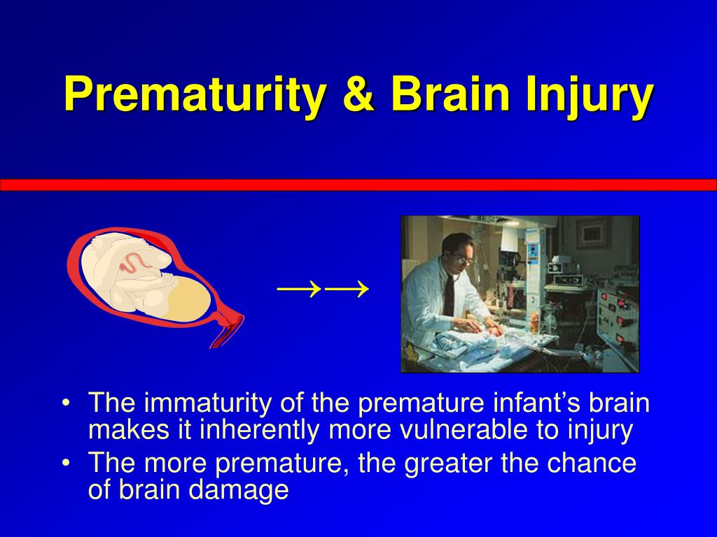 PPT - Brain Injury in Premature Infants: The Role of Cerebral ...