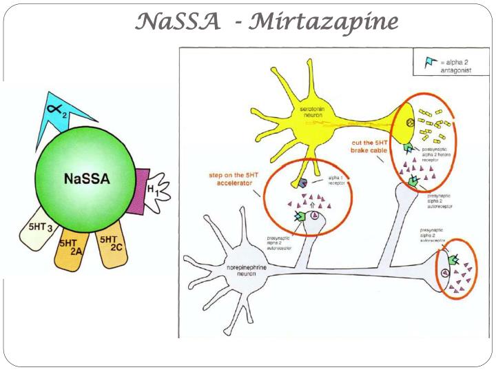 PPT - ANTIDEPRESSANTS - PHARMACODYNAMICS PowerPoint Presentation - ID ...