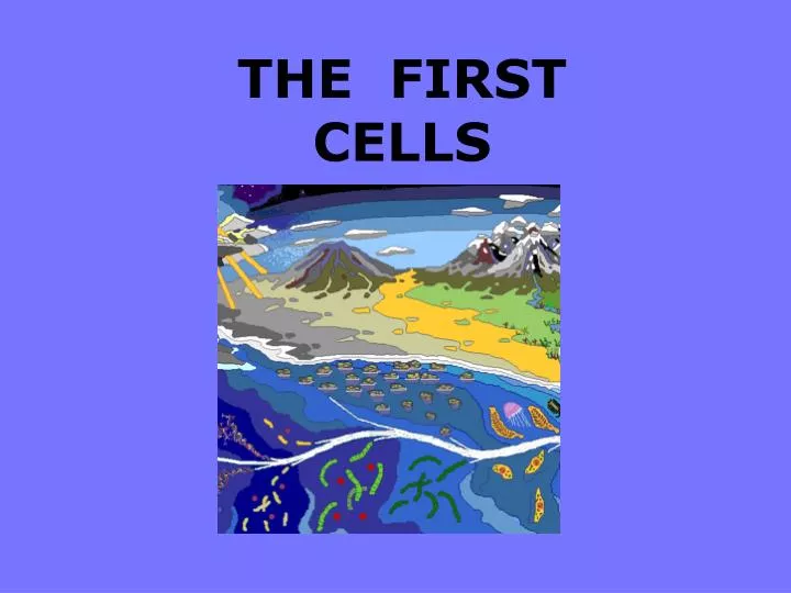 PPT - THE FIRST CELLS PowerPoint Presentation, free download - ID:3053192