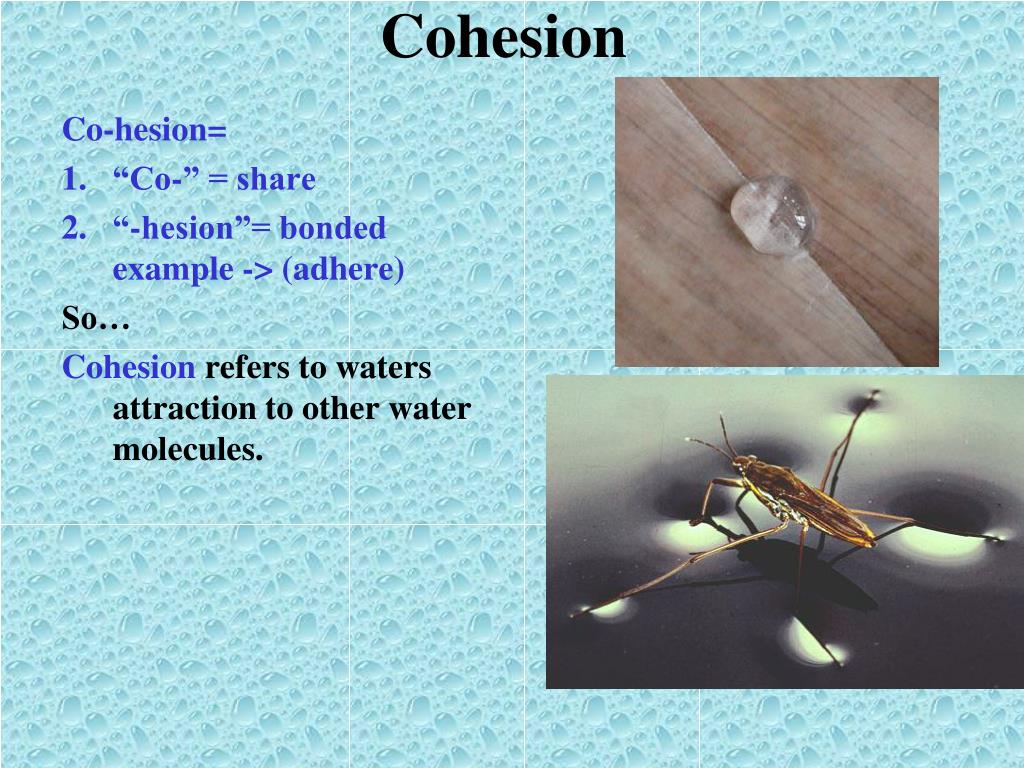 PPT - Water PowerPoint Presentation, free download - ID:3053868