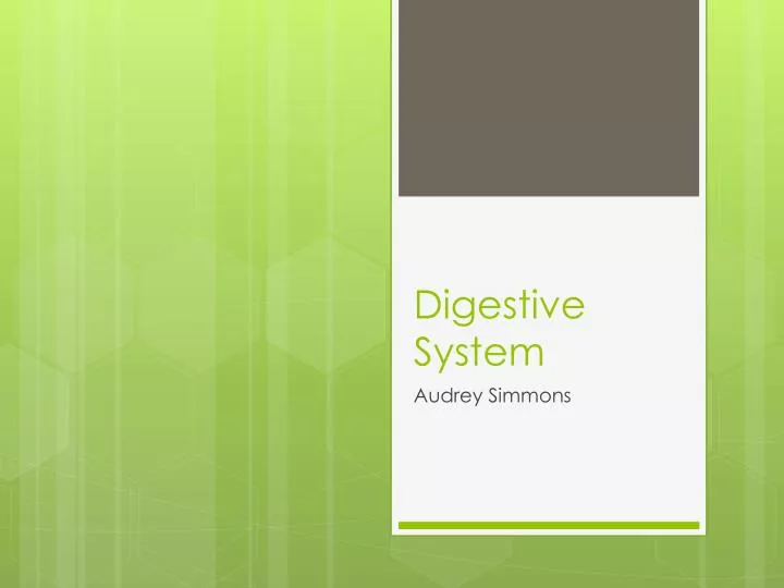 PPT - Digestive System PowerPoint Presentation, free download - ID:3054055