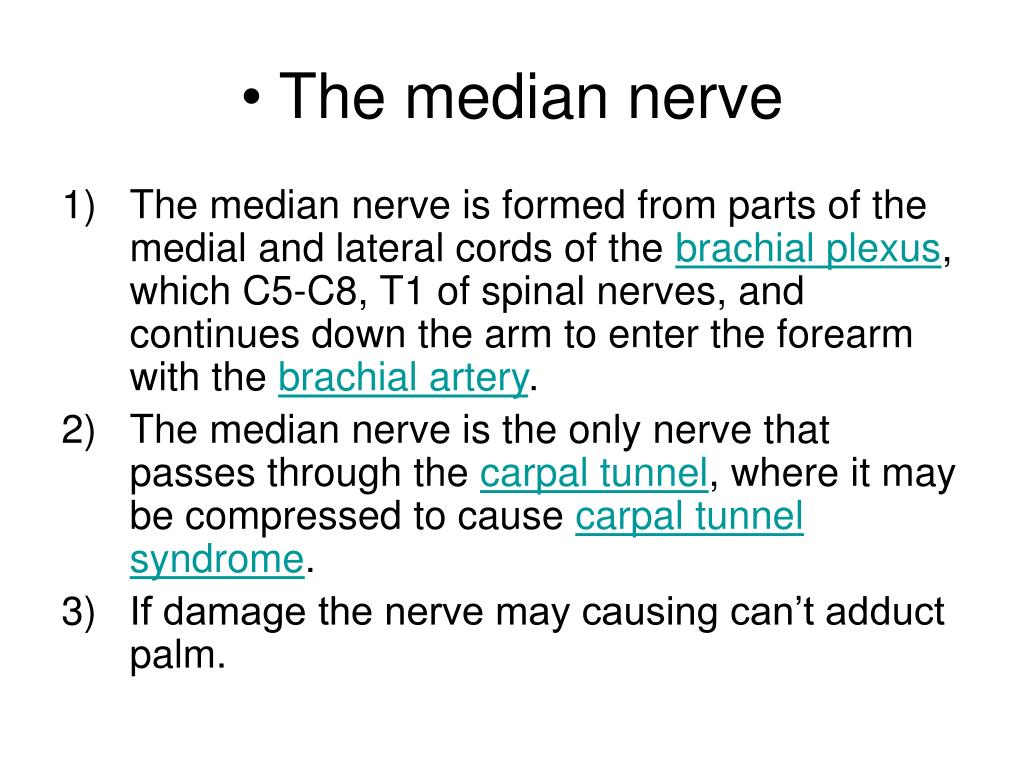 PPT - Pathogenesis and TCM Treatment of Cervical Spondylosis PowerPoint ...