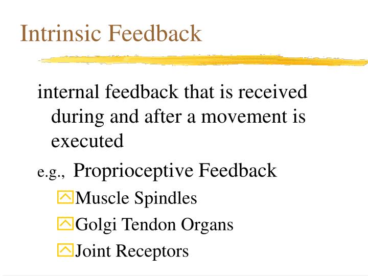 PPT - Information Feedback Family PowerPoint Presentation - ID:3054924