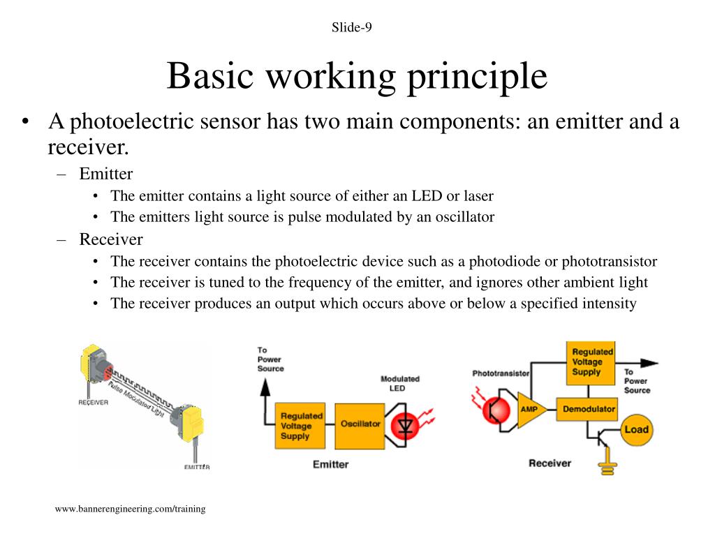 PPT - Prepared by: Sheldon Munns Utah State University E: samunns@ccu ...