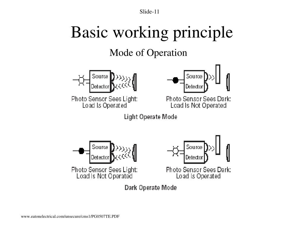 PPT - Prepared by: Sheldon Munns Utah State University E: samunns@ccu ...
