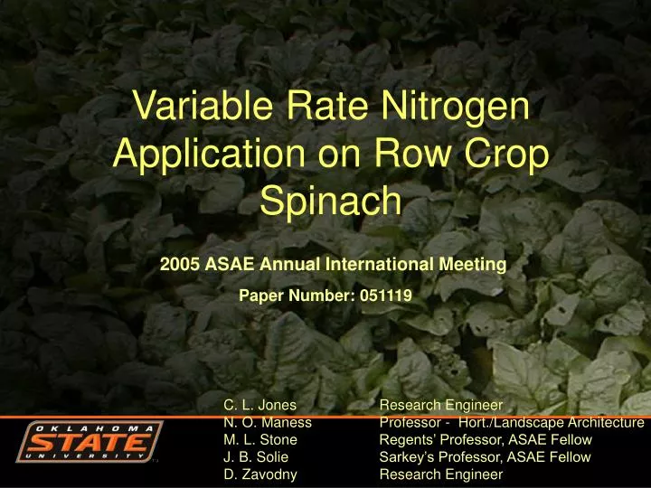 Ppt Variable Rate Nitrogen Application On Row Crop Spinach Powerpoint Presentation Id 3055293
