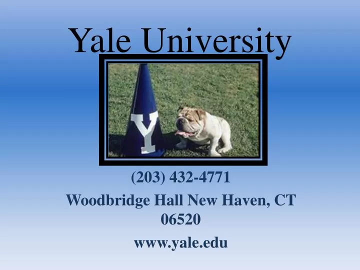 PPT - Yale University PowerPoint Presentation, free download - ID:3055326
