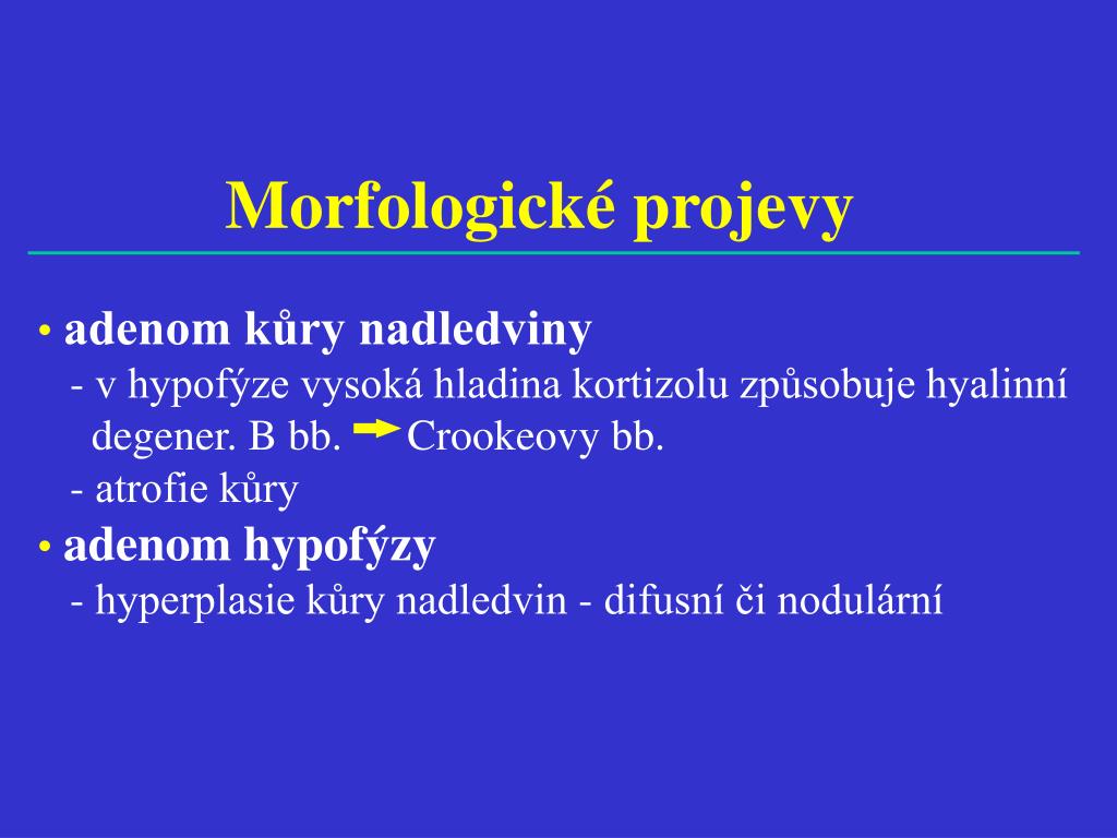PPT - ENDOKRINNÍ SYSTÉM sekrece hormonů (steroidy,peptidy, aminy ...
