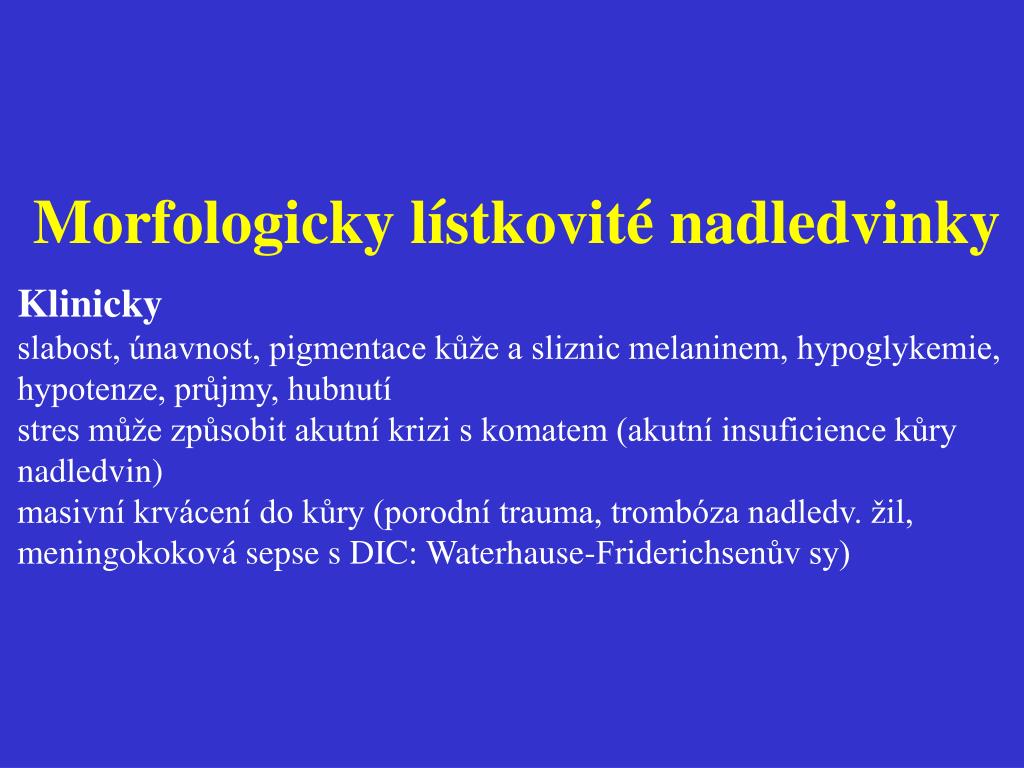 PPT - ENDOKRINNÍ SYSTÉM sekrece hormonů (steroidy,peptidy, aminy ...