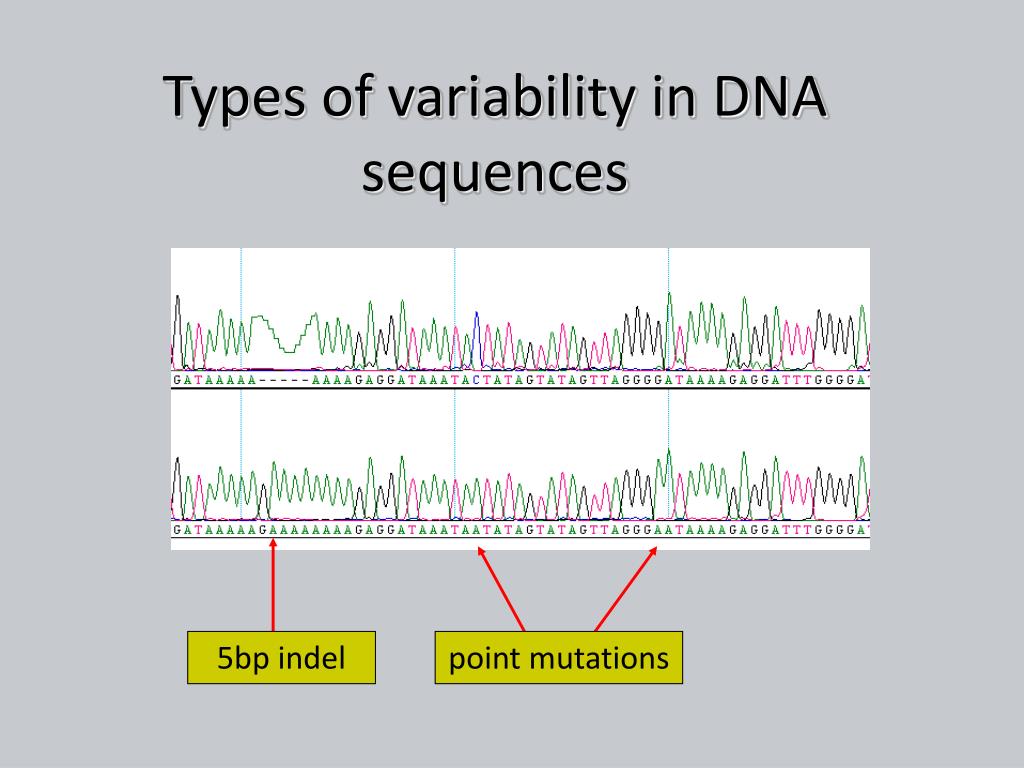 PPT - M ole c ul ar markers in plant systematics and population biology ...