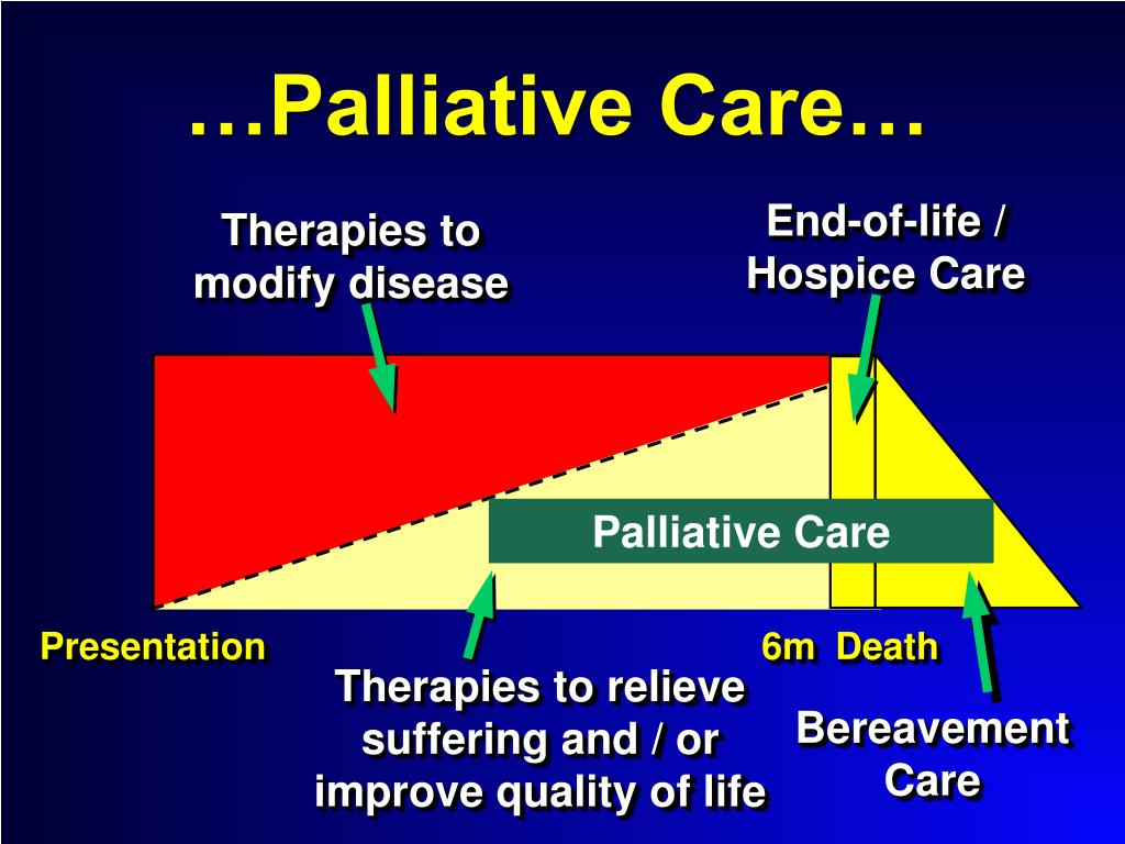 PPT - Transforming health care globally… through palliative care ...