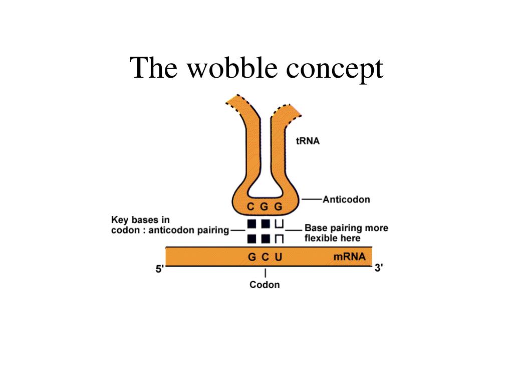 PPT - The Central Dogma of Molecular Biology PowerPoint Presentation ...
