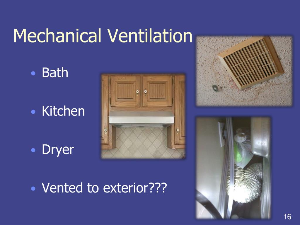 PPT - Healthy Homes, Healthy People PowerPoint Presentation, free ...