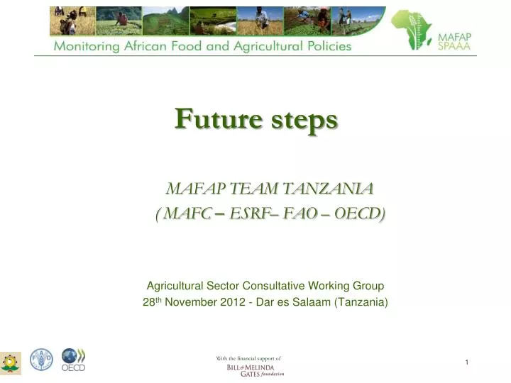 PPT - Future steps PowerPoint Presentation, free download - ID:3057648