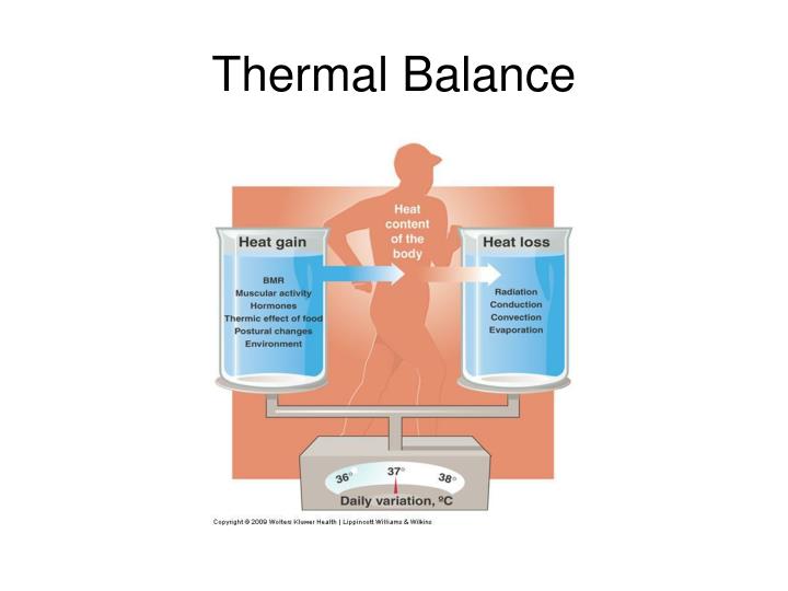 PPT - Exercise Thermoregulation, Fluid Balance, and Rehydration ...