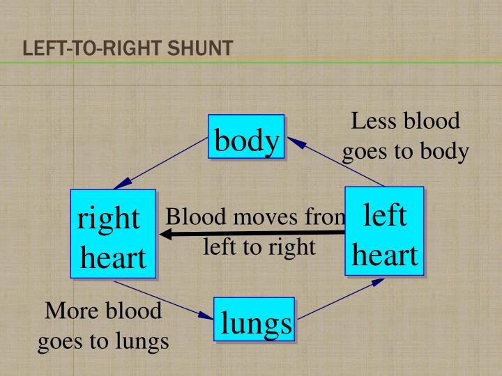 PPT - Chapter 19 Disorders of Cardiac Function PowerPoint Presentation ...