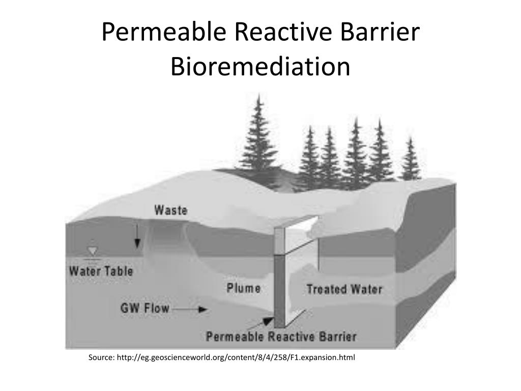 PPT - Bioremediation of Arsenic Contaminated Water PowerPoint ...