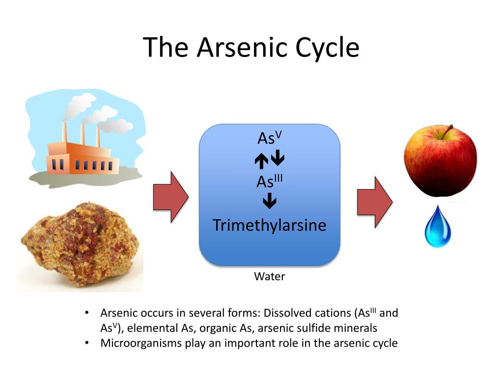 PPT - Bioremediation of Arsenic Contaminated Water PowerPoint ...