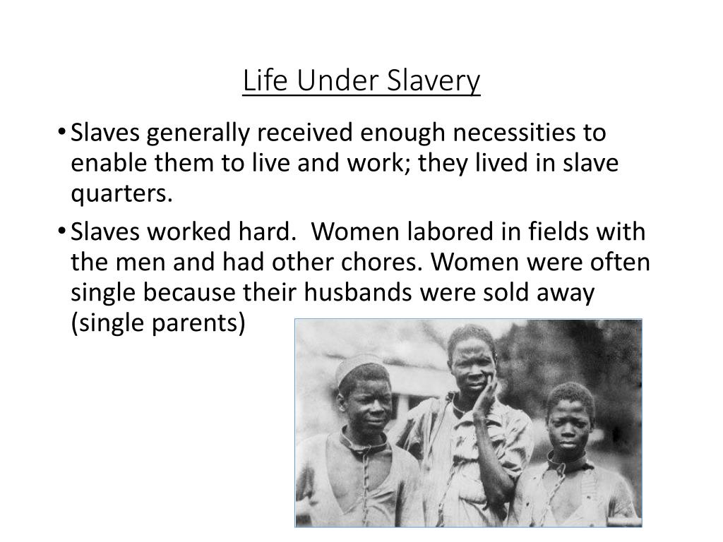 PPT - Cotton, Slavery, and the Old South Chapter 11 PowerPoint ...