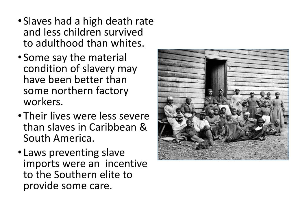 PPT - Cotton, Slavery, and the Old South Chapter 11 PowerPoint ...