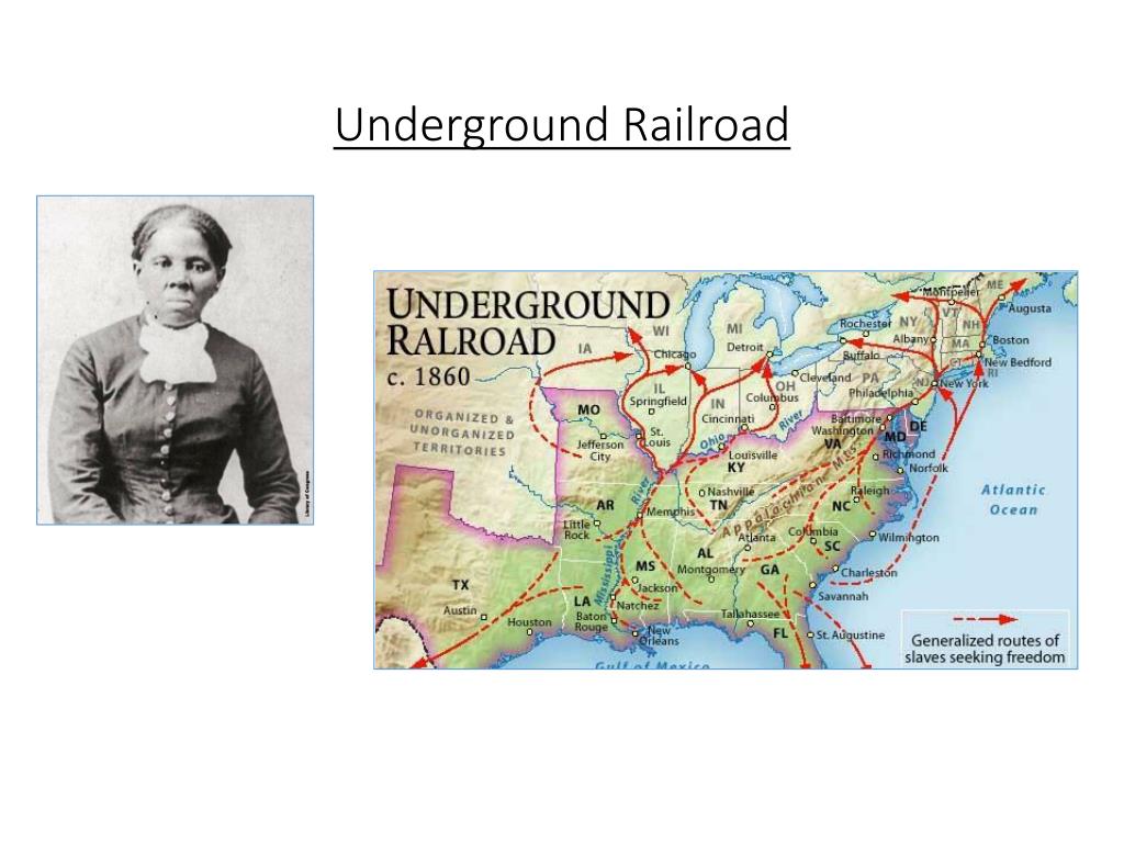 PPT - Cotton, Slavery, and the Old South Chapter 11 PowerPoint ...
