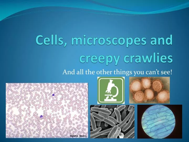 PPT - Cells, microscopes and creepy crawlies PowerPoint Presentation ...