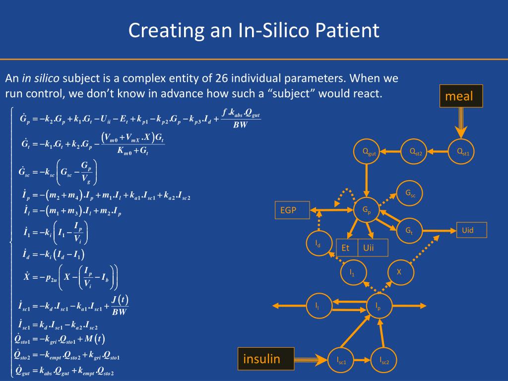 PPT - Clinical Perspective: SMBG Inaccuracy and Clinical Consequences ...