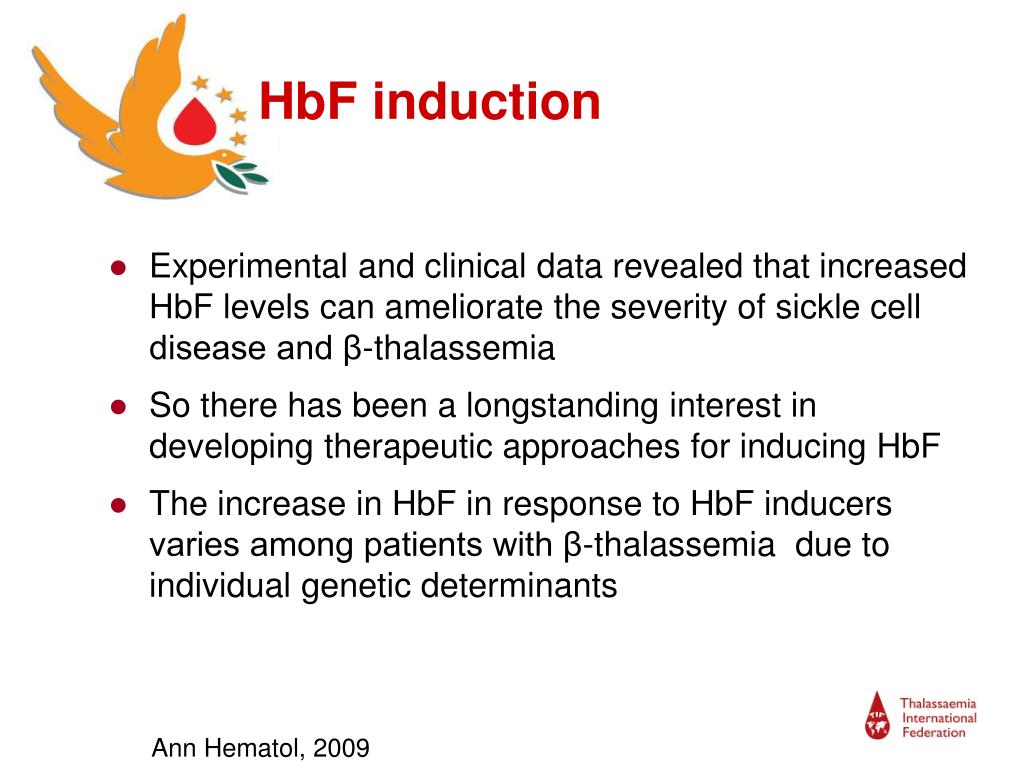 PPT - HbF induction 3rd Pan-European Conference on Haemoglobinopathies ...