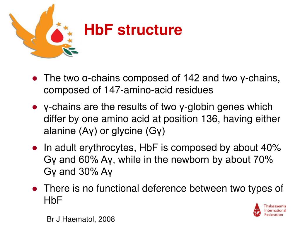 PPT - HbF induction 3rd Pan-European Conference on Haemoglobinopathies ...