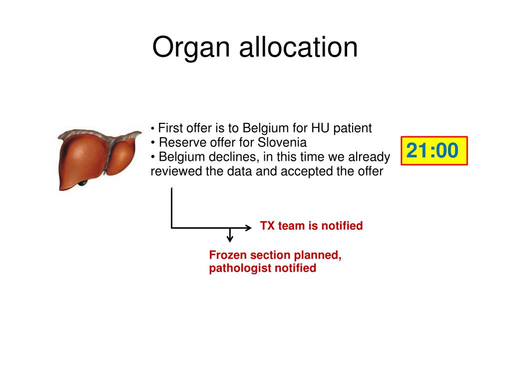 PPT - Donor in Slovenian hospital: coordination of organ donation ...