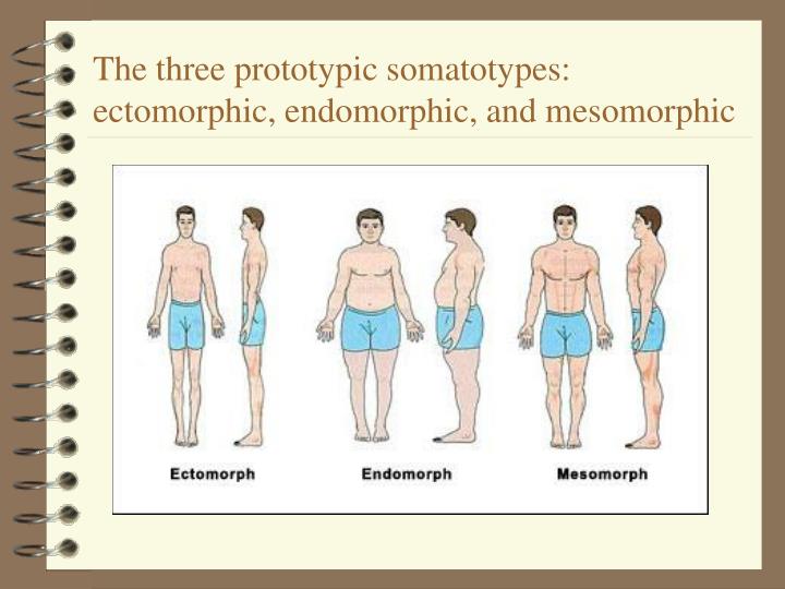 Mesomorphic Definition