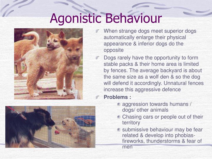 PPT - Behavioural Patterns PowerPoint Presentation - ID:3061299