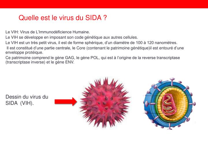 PPT - Le Sida (VIH) PowerPoint Presentation - ID:3061739