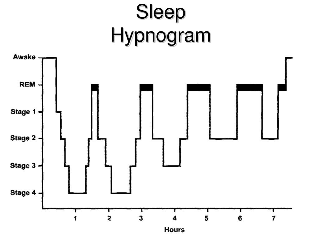 PPT - Sleep: The Golden Chain That Ties Health and Our Bodies Together ...