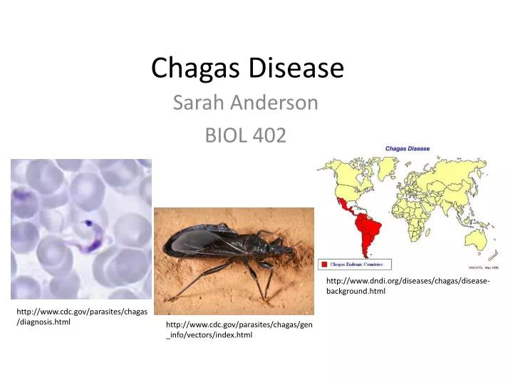 PPT - Chagas Disease PowerPoint Presentation, free download - ID:3063158