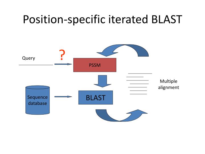 PPT - BLAST, PSI-BLAST and position-specific scoring matrices ...