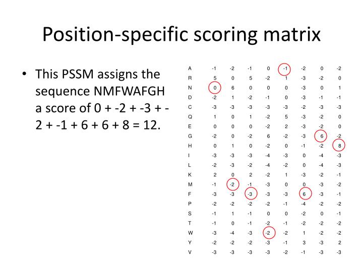 PPT - BLAST, PSI-BLAST and position-specific scoring matrices ...