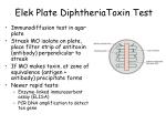 PPT - Corynebacterium , Listeria , Erysipelothrix PowerPoint ...