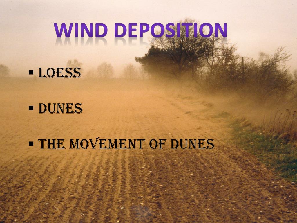 PPT - By: Alyssa, Elissa, Jessica, and Kristen PowerPoint Presentation ...