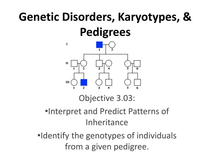 PPT - Genetic Disorders, Karyotypes , & Pedigrees PowerPoint ...