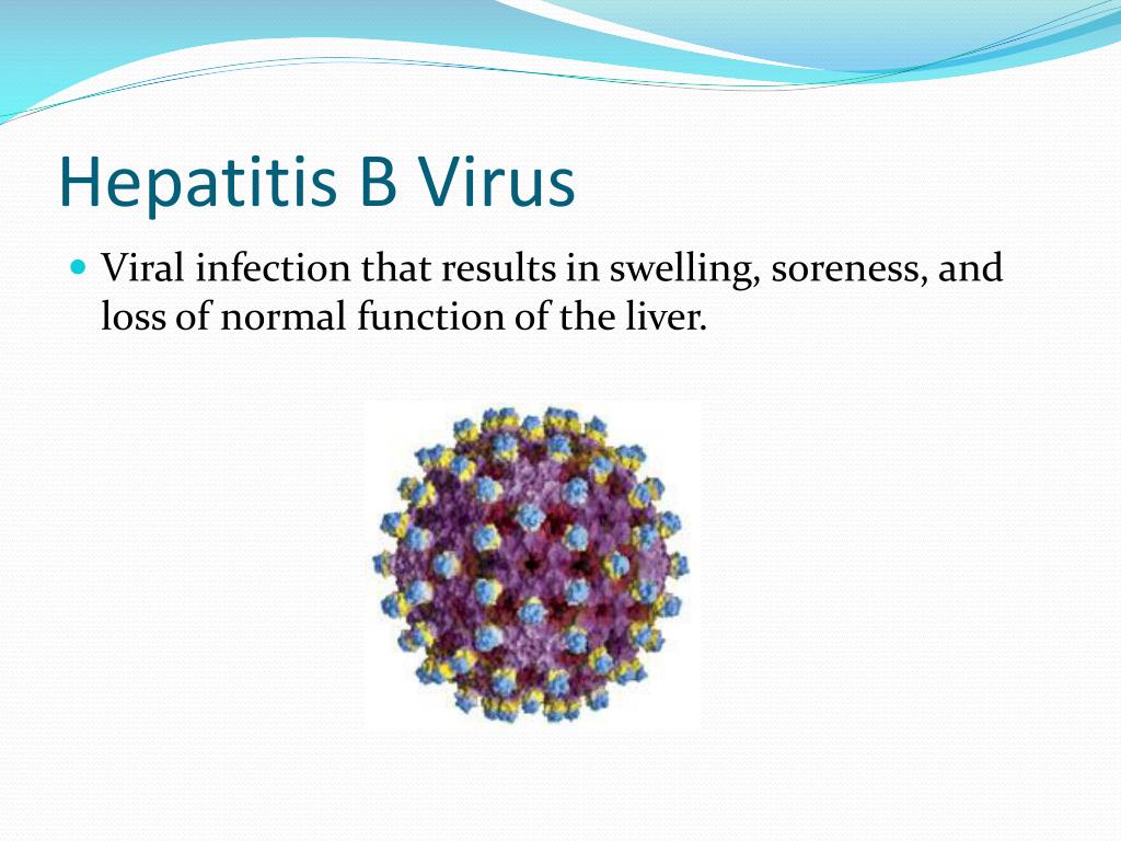 PPT - Bloodborne Pathogens, Universal Precautions, and Wound Care ...