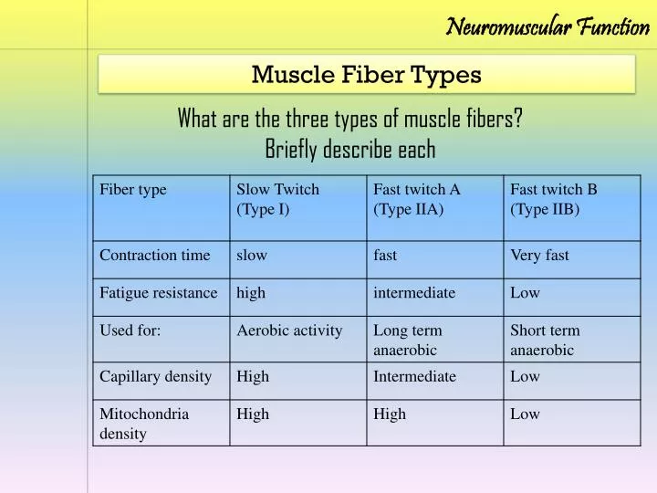 PPT - Neuromuscular Function PowerPoint Presentation, free download ...